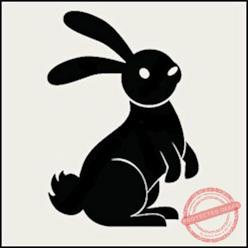 Daniel Jackson/Jack O’Neill – The Wild Hare Project